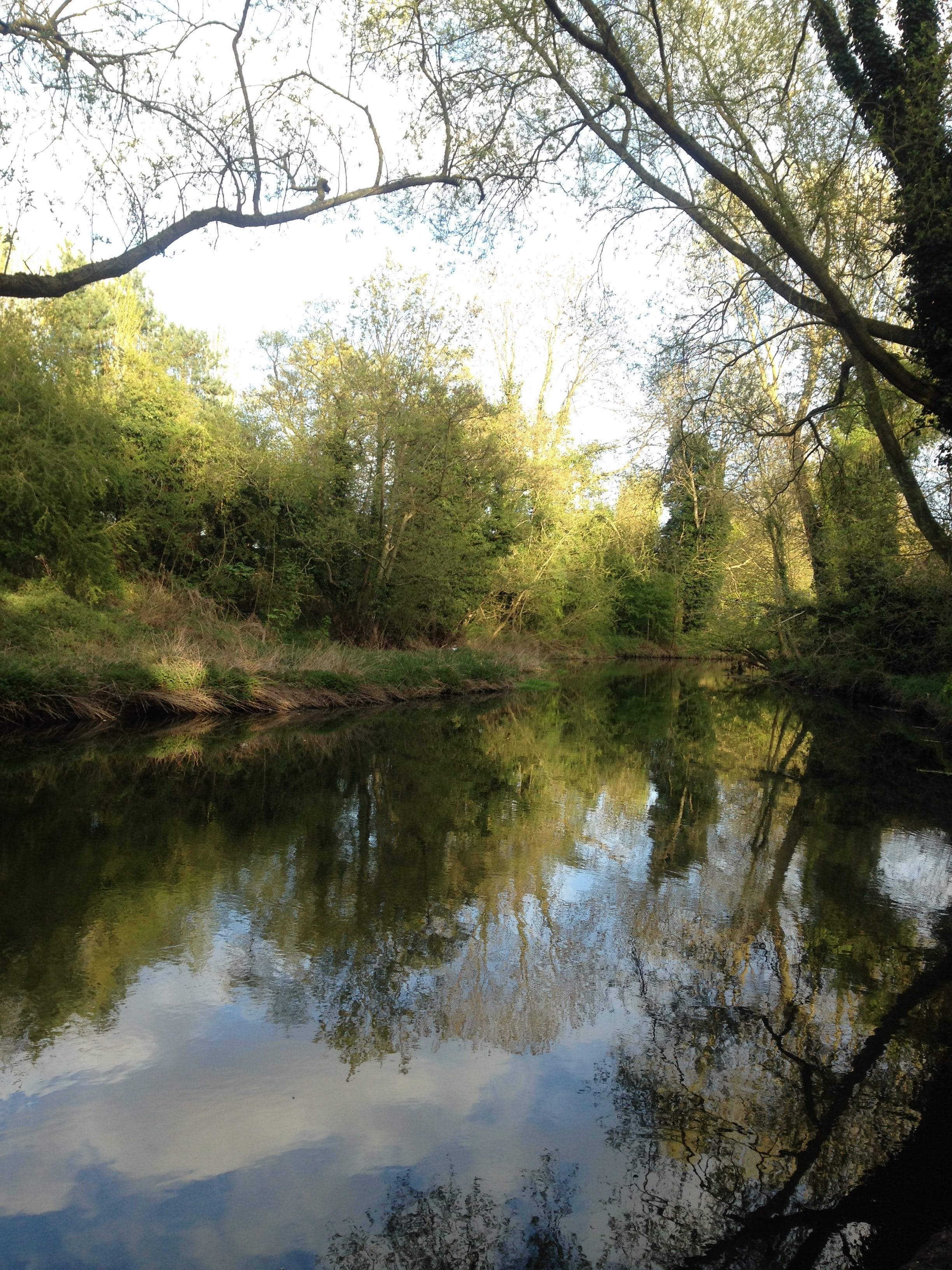 Popular walking routes-discover Norwich on foot! – The Next Epic Trip