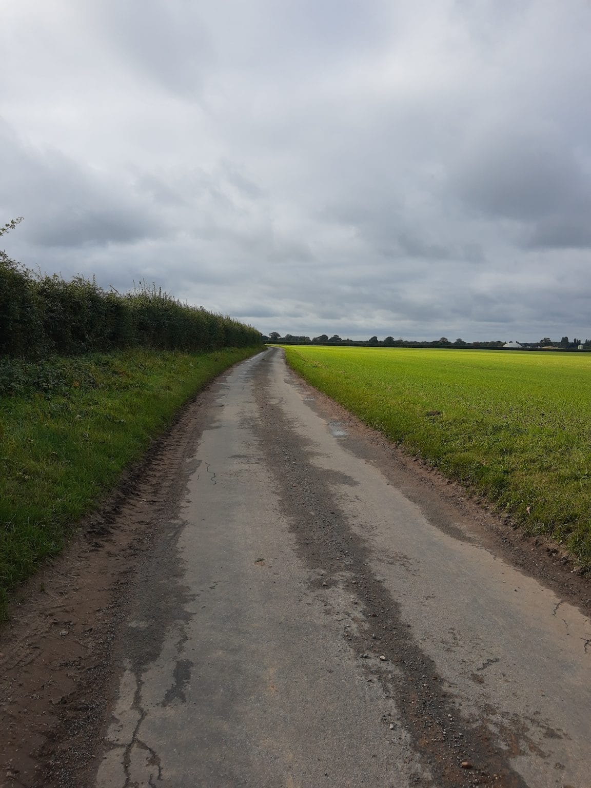 Norfolk’s hidden villages: The best walks in Barnham Broom! – The Next ...