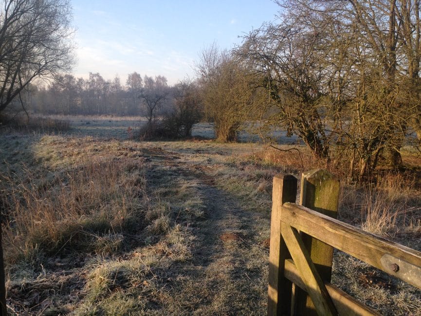 Where to go for walks around Norfolk this spring? – The Next Epic Trip